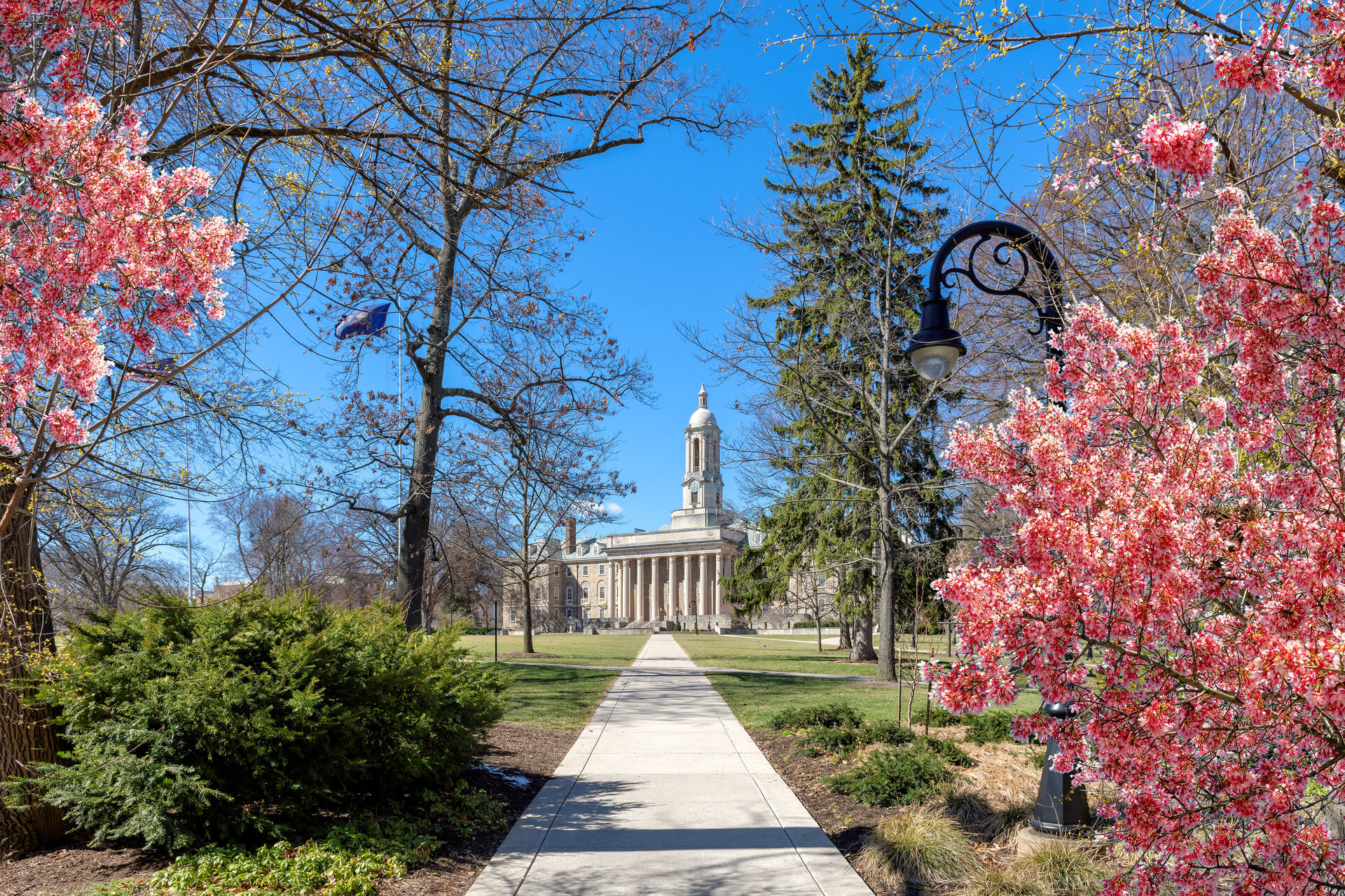 Experience Activities in State College, PA | Carnegie House